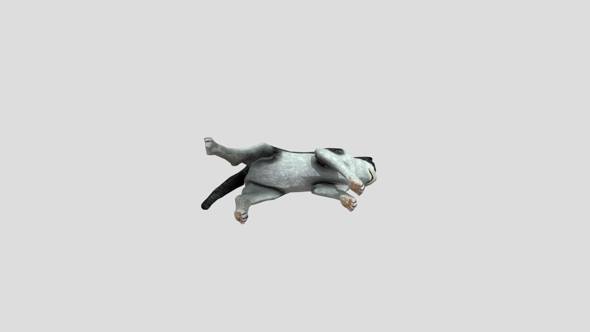 Cat Schrodinger - Download Free 3D model by LunaEagle [99efbac] - Sketchfab