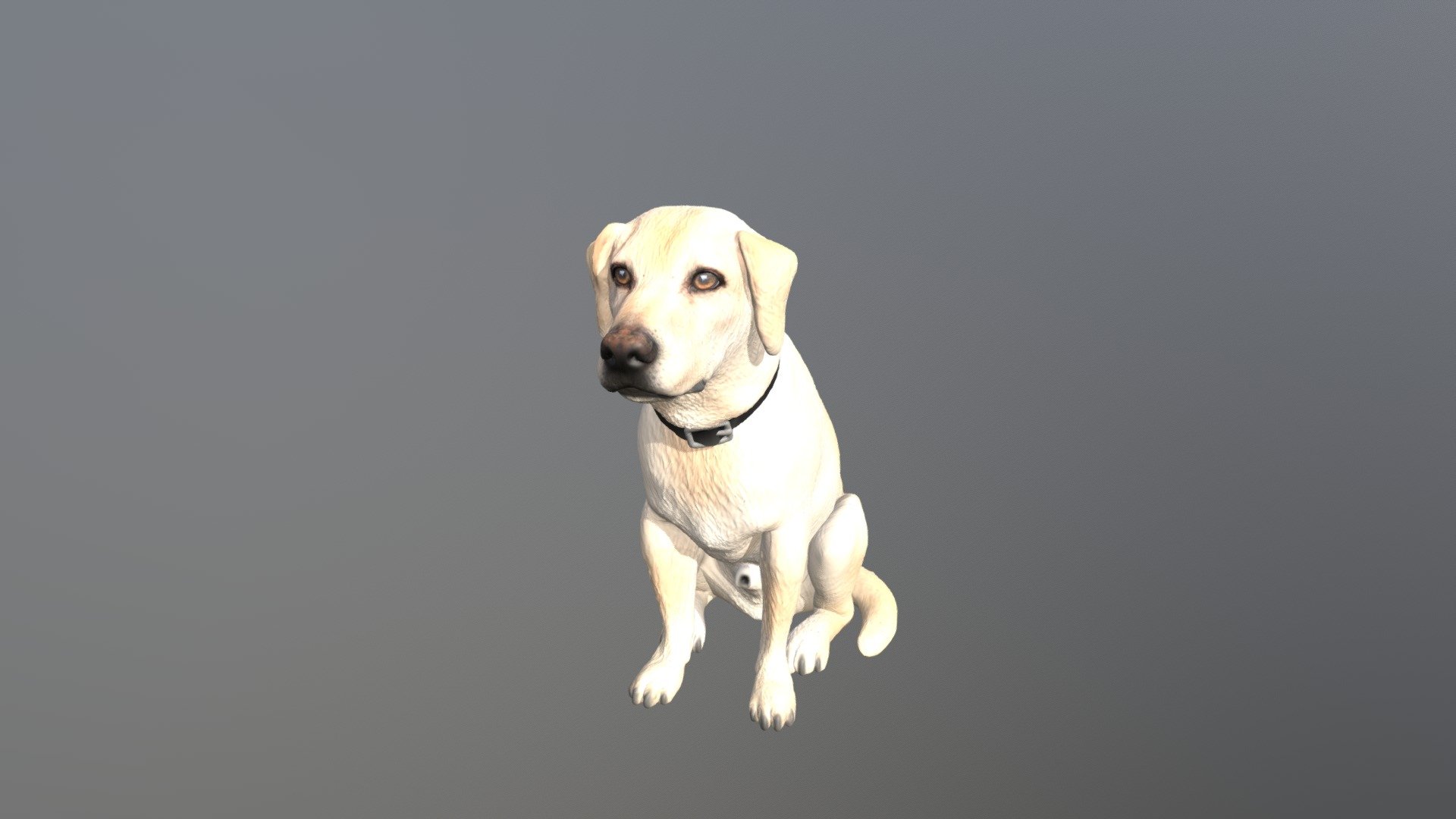 1808011- Oscar- Labrador - 3D model by Arty Lobster - Pet Sculptures ...