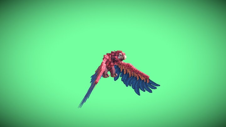 Parrot 3D models - Sketchfab