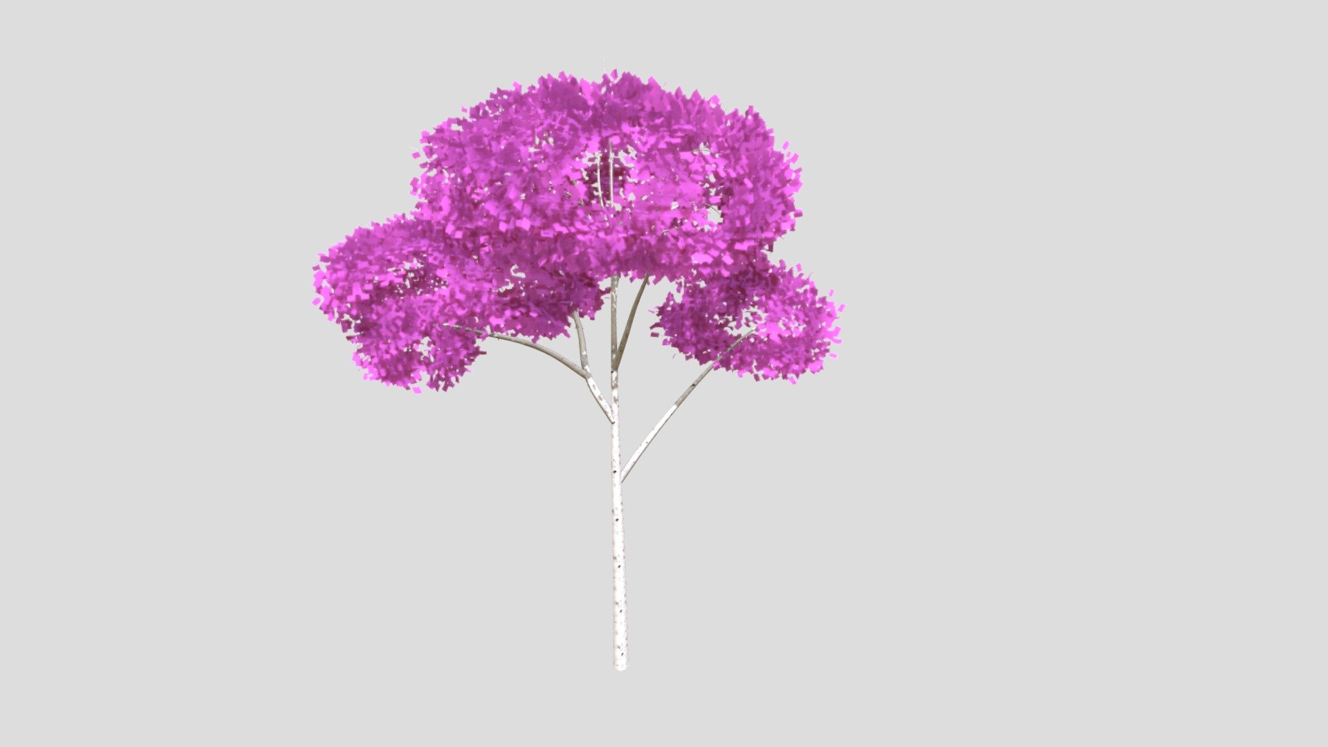 Sakura Tree - 3D model by Siavash Shahlaei (@rxiny) [99fad82] - Sketchfab