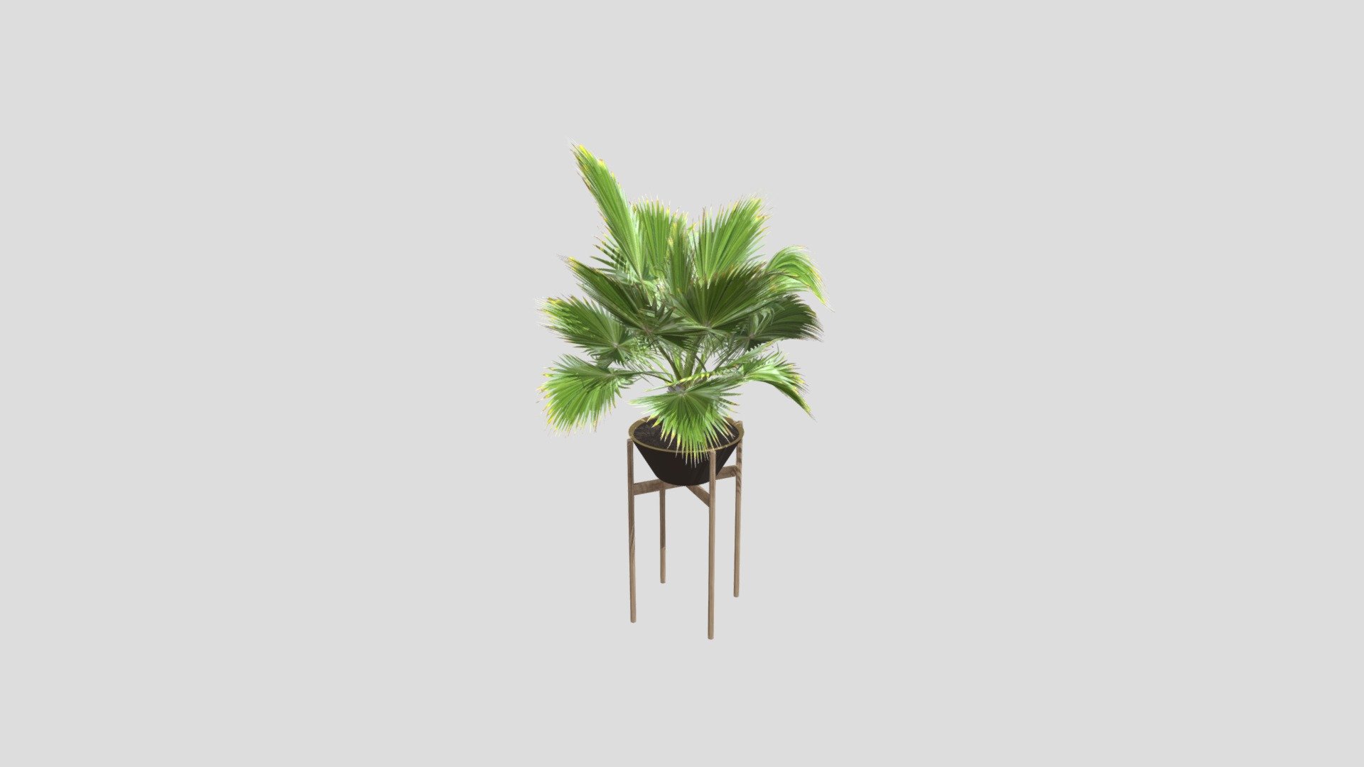 Beautiful blossom flower pot - 3D model by chiragmoradiya [9a015fb ...