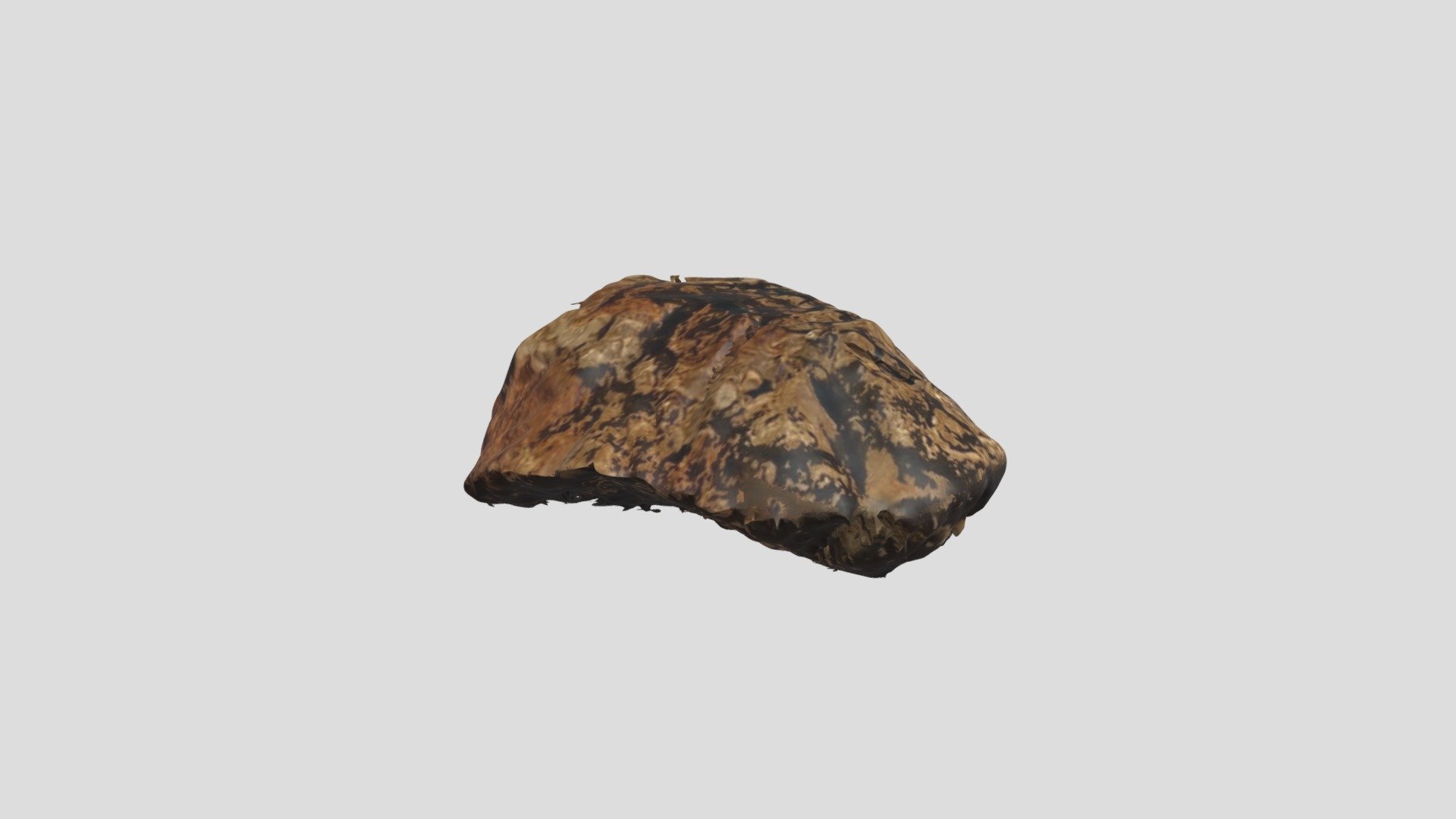 Ceratites (Discoceratites) levaloisi - 3D model by rin209 [9a025de ...