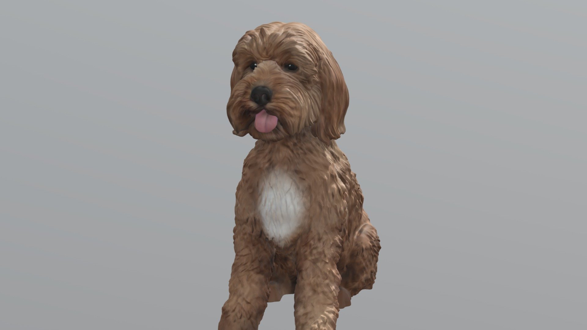 1904003- Reggie - 3D model by Arty Lobster - Pet Sculptures Made Simple ...