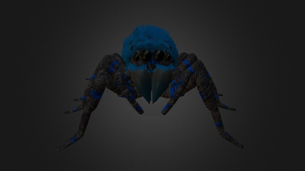 Jumping Spider [With Textures] - 3D model by Alex Gimson (@alexgimson ...