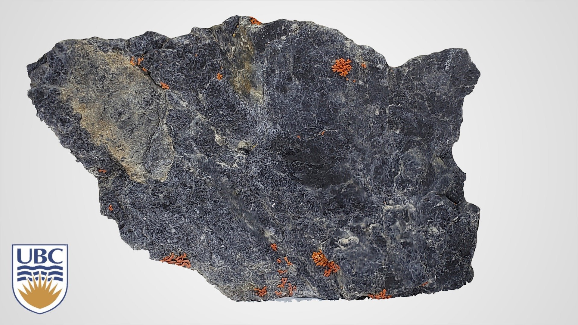 Blueschist - 3D model by Nichole Moerhuis (UBC Geology) (@Moerhuis ...
