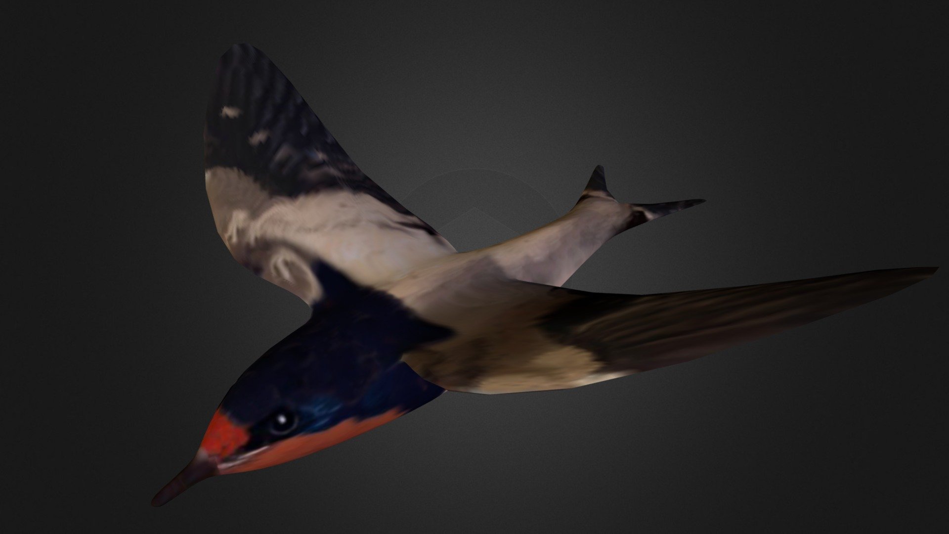 Swallow - 3D model by polcuenca [9a13611] - Sketchfab