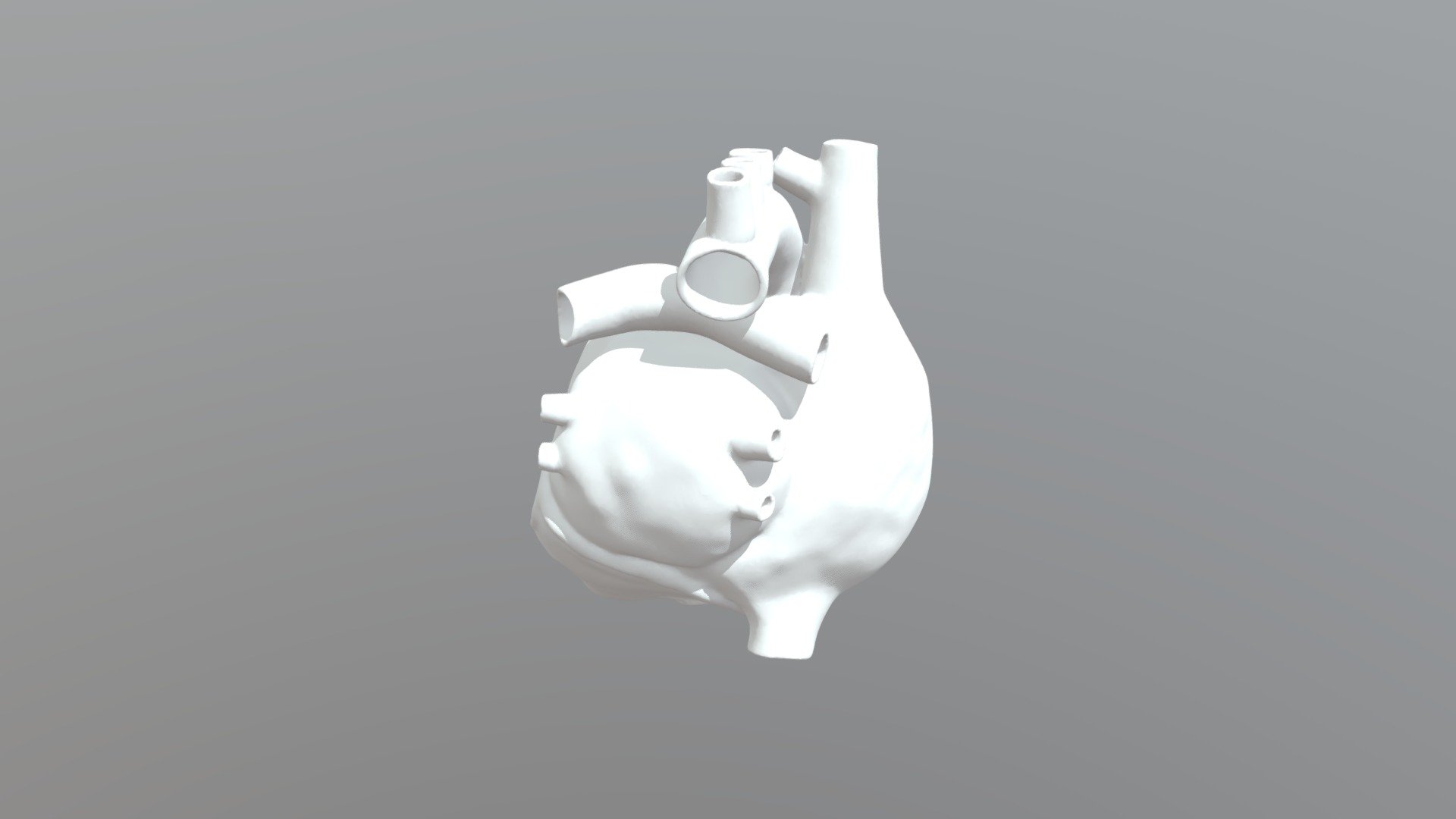 Anatomical-heart - Download Free 3D model by fnordpig [9a14864] - Sketchfab