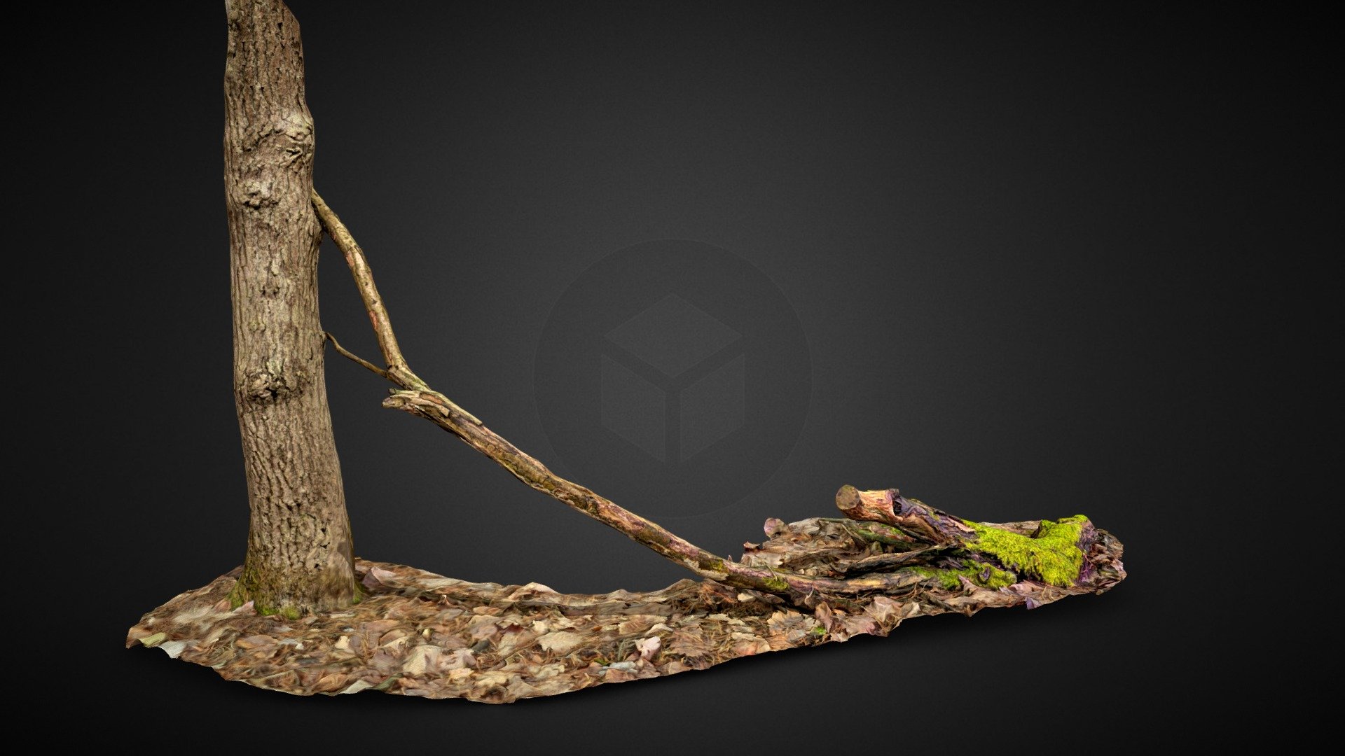 Rotten, mossy branch with a tree - Download Free 3D model by ZiemniaQ ...