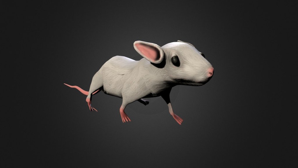Mouse - 3D model by MatheyRhio [9a1dbbb] - Sketchfab