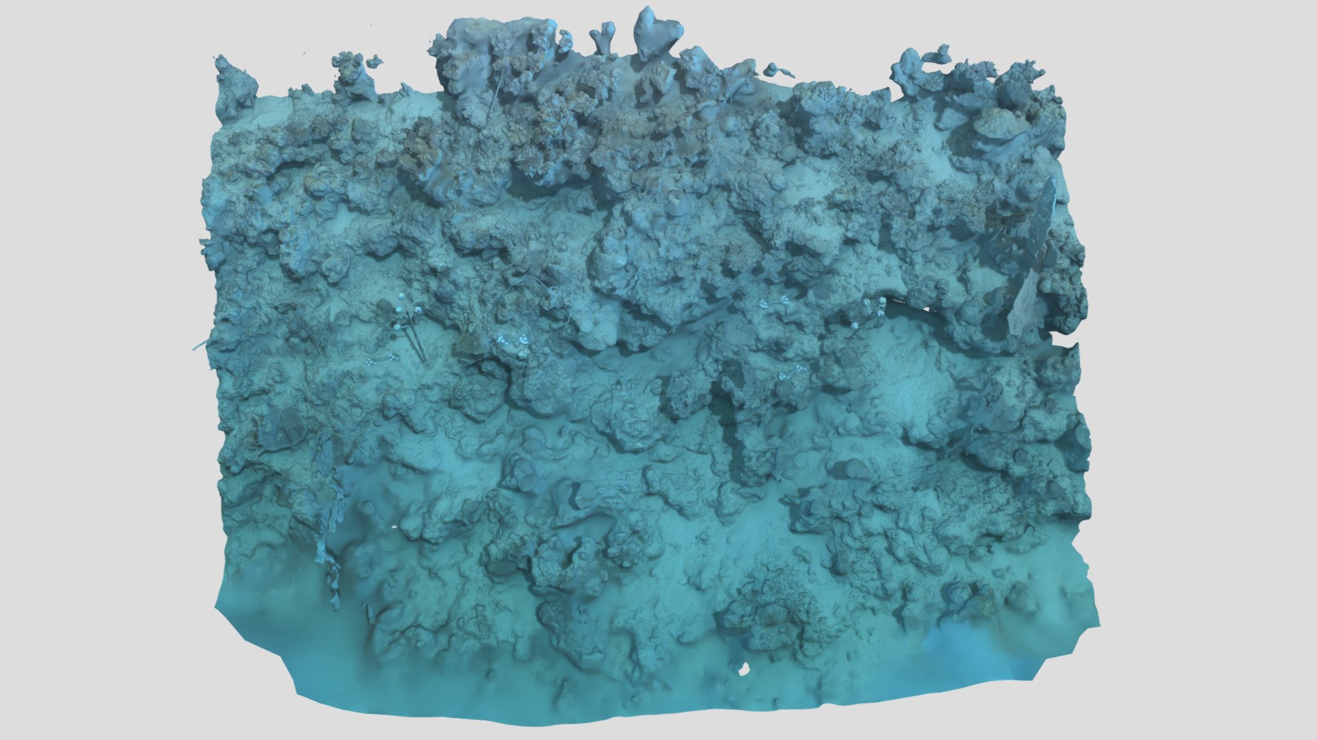 Masig_BA1D_P1_202302 - Download Free 3D model by EcoRRAP (@AIMSEcoRRAP ...