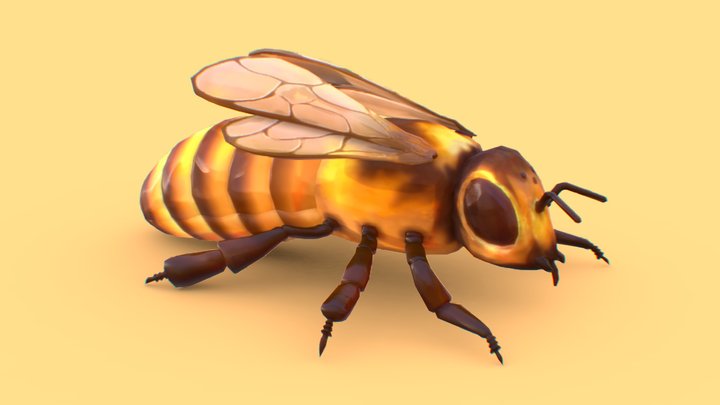Bee 3D models - Sketchfab