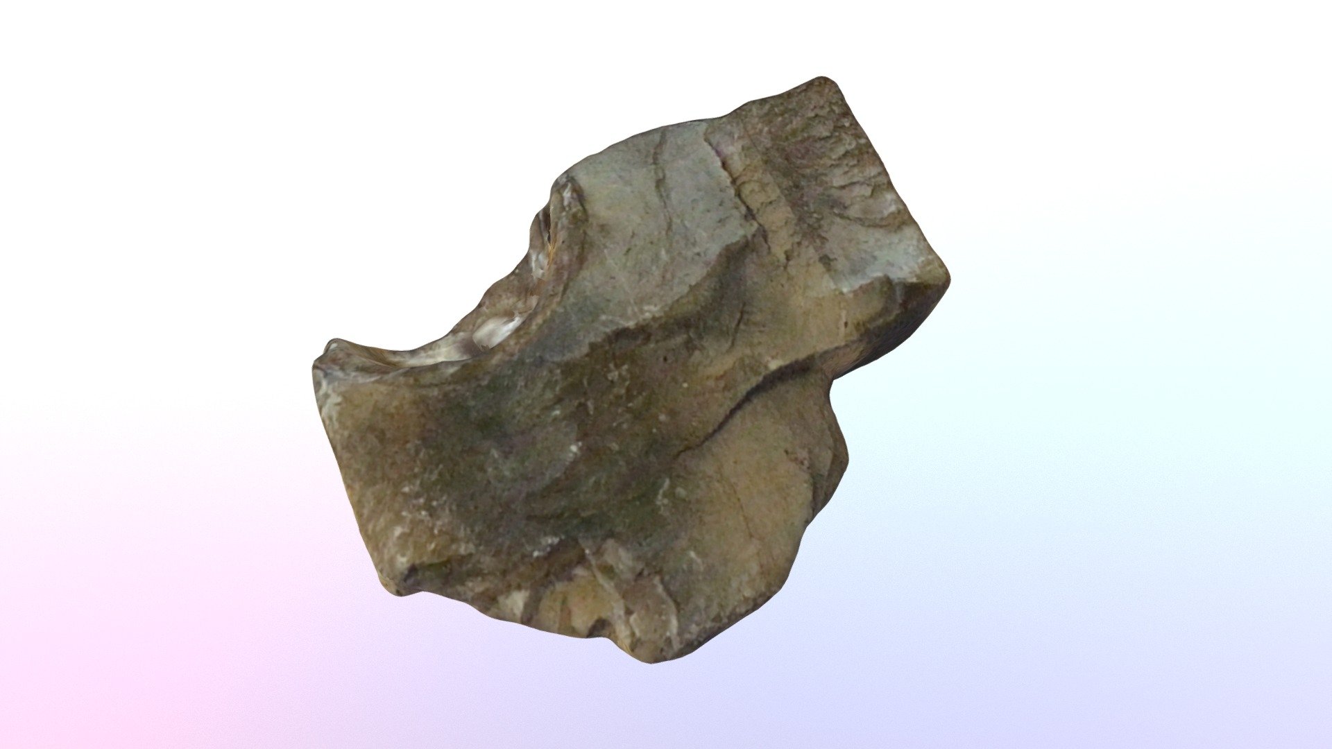 Woodford rock sample - Download Free 3D model by geogirl47 [9a27c61 ...
