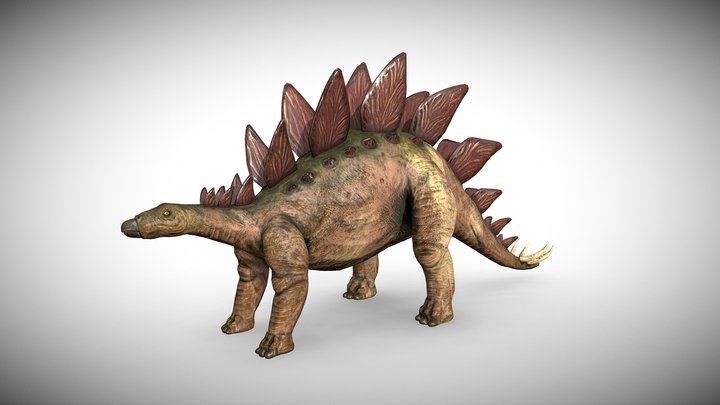Stegosauria 3D models - Sketchfab