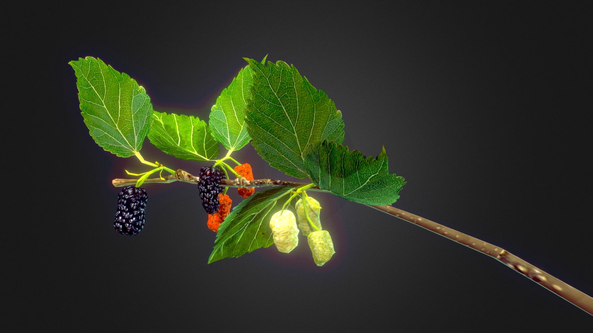 Dud - 3D model by zlatkica [9a2eba3] - Sketchfab