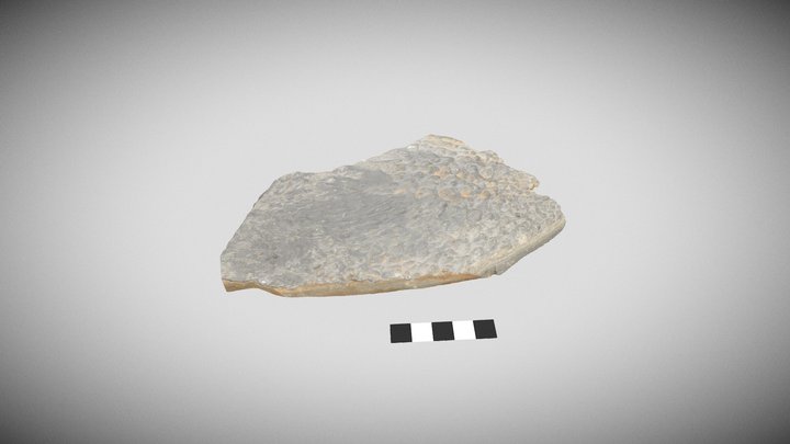 Load-casts 3D models - Sketchfab