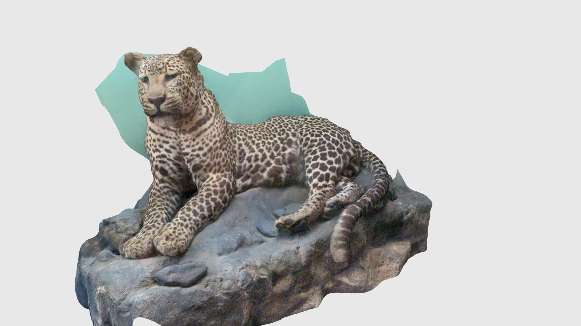 LEOPARD - Download Free 3D model by Jiwe Studio (@jiwestudio) [9a3fdbc ...