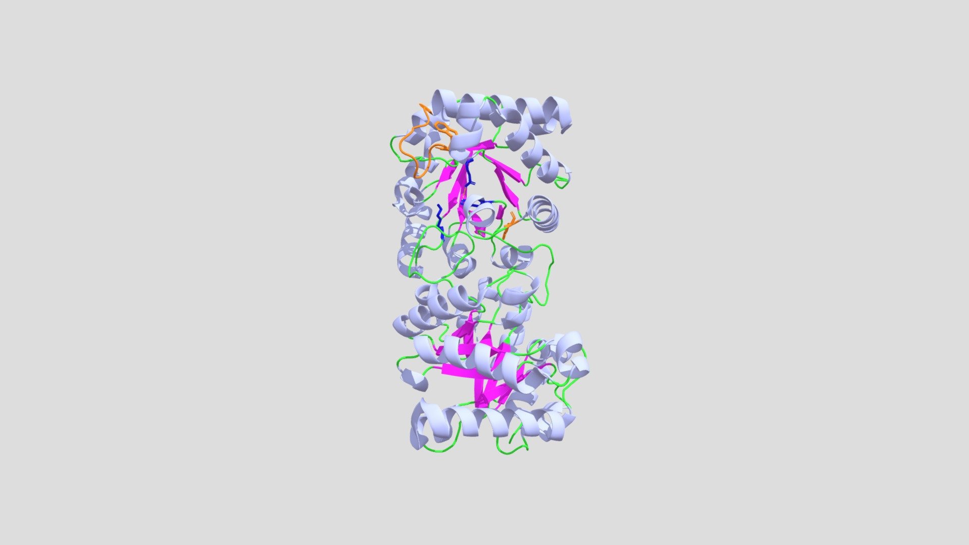 Human Triosephosphate Isomerase BIOL244 - 3D model by texasdownes ...
