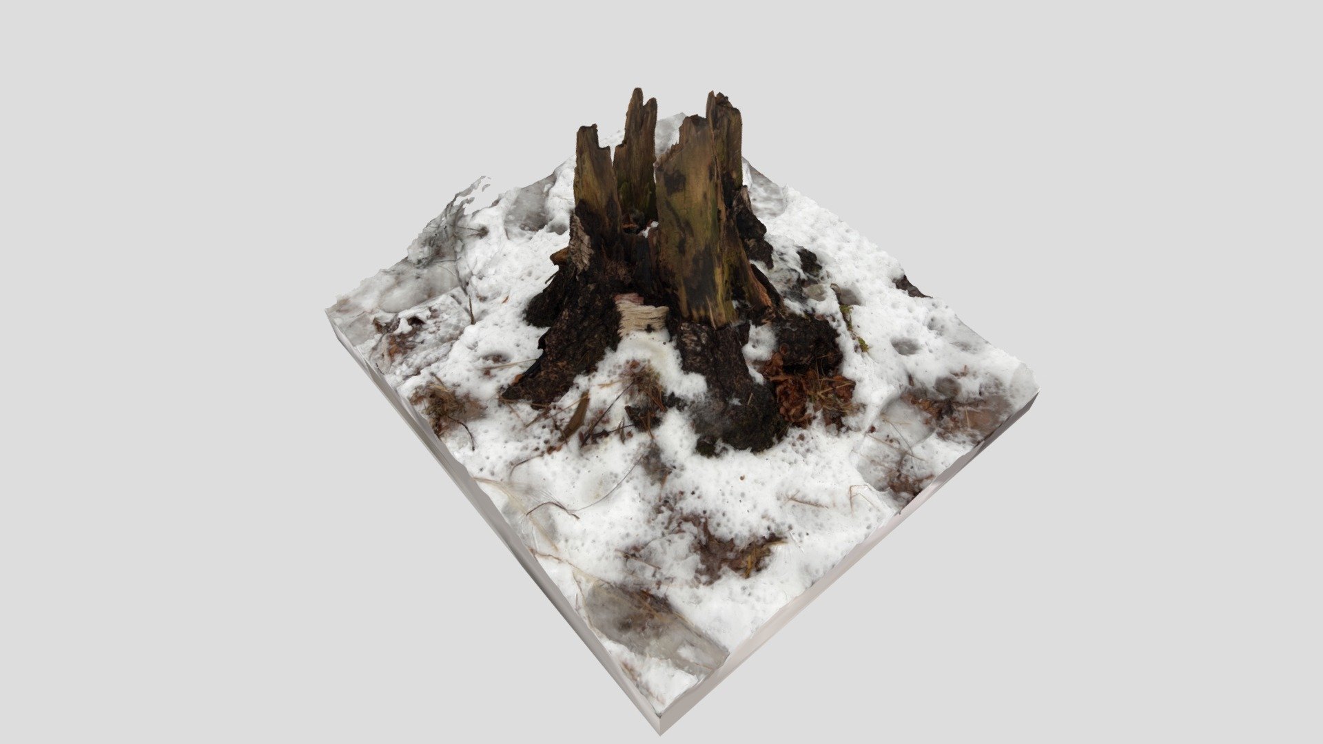 Rotten snow covered tree stump - Download Free 3D model by Colin ...