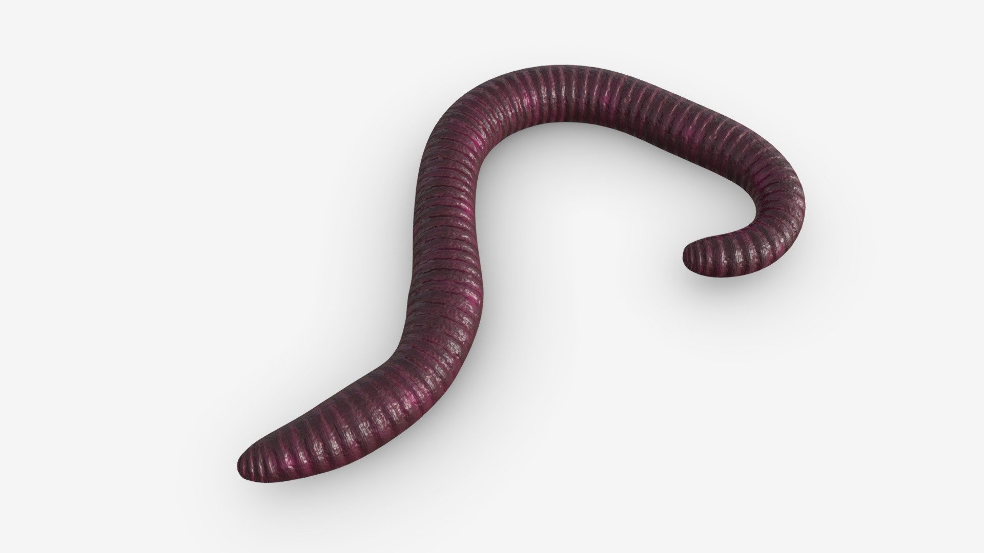 Red worm 02 - Buy Royalty Free 3D model by HQ3DMOD (@AivisAstics ...