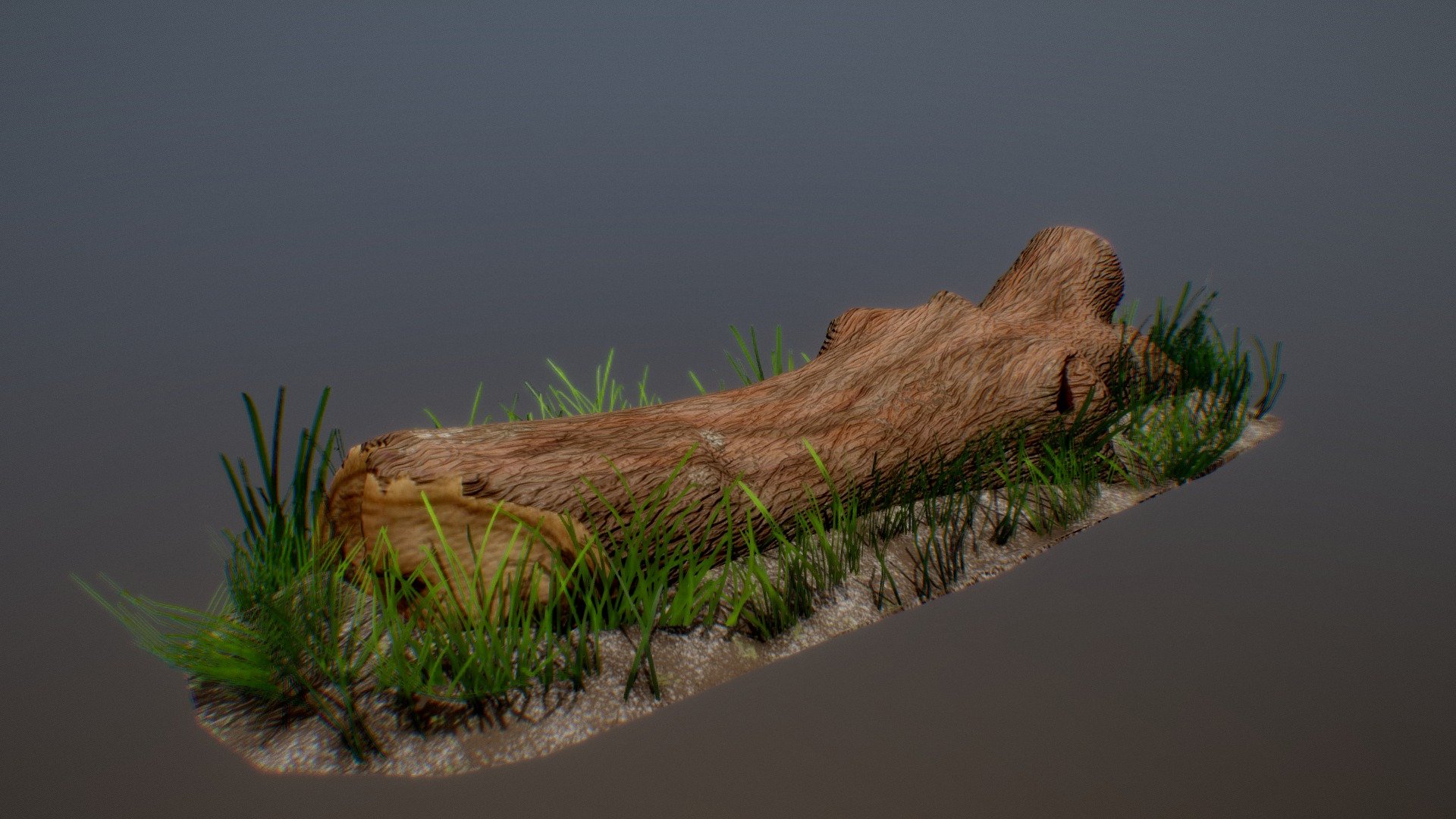 Log Texture Practice - 3D model by JustBuchanan51 [9a59317] - Sketchfab