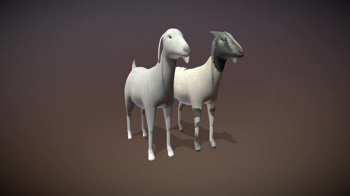 Goat 3D models - Sketchfab