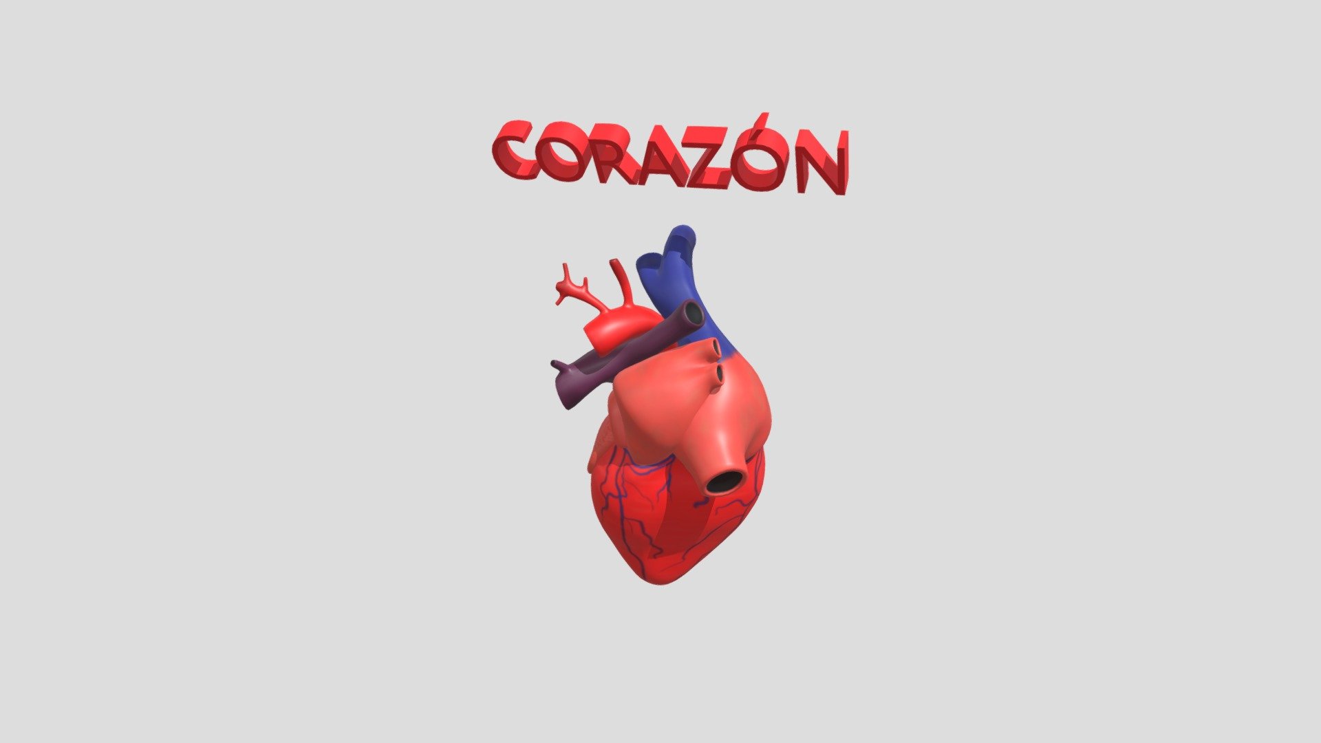 CORAZON 3D - 3D model by pilcogeovy [9a5db68] - Sketchfab