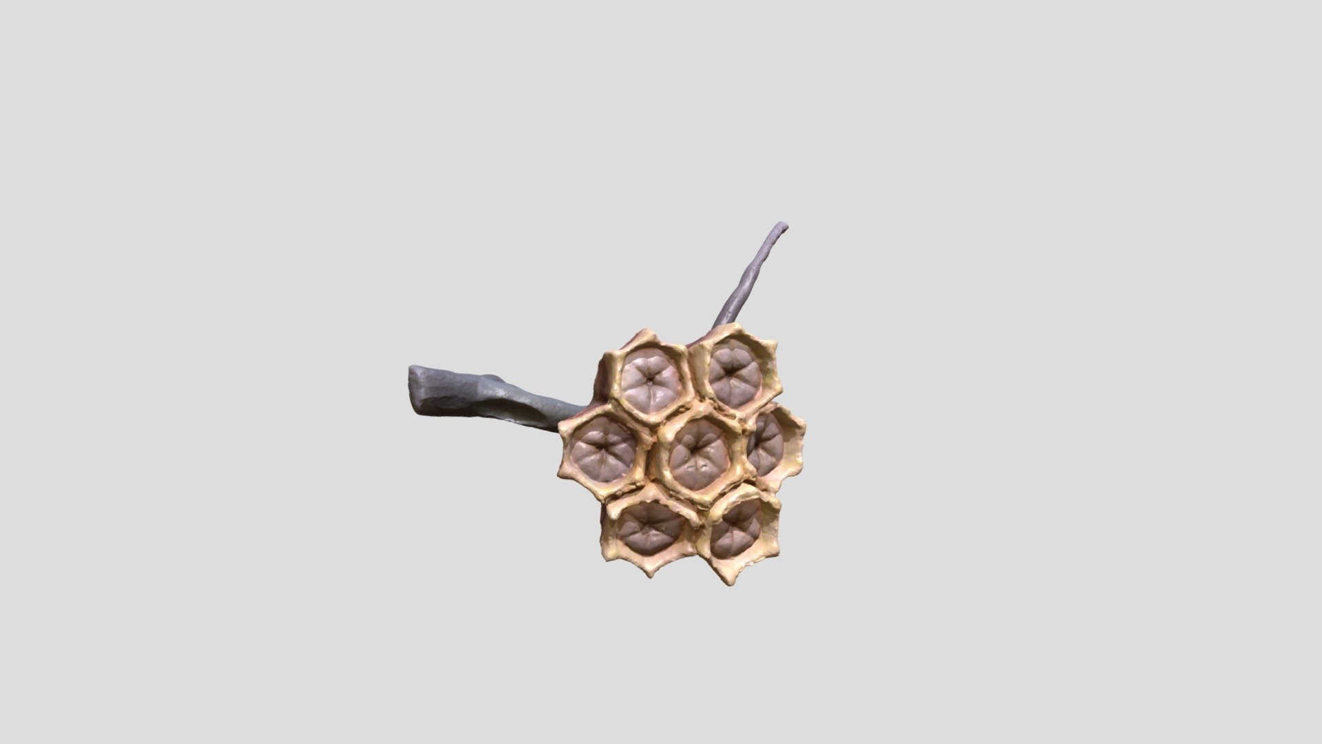 kdu_glass_plant_yellow - 3D model by nagayoshi-h [9a61134] - Sketchfab