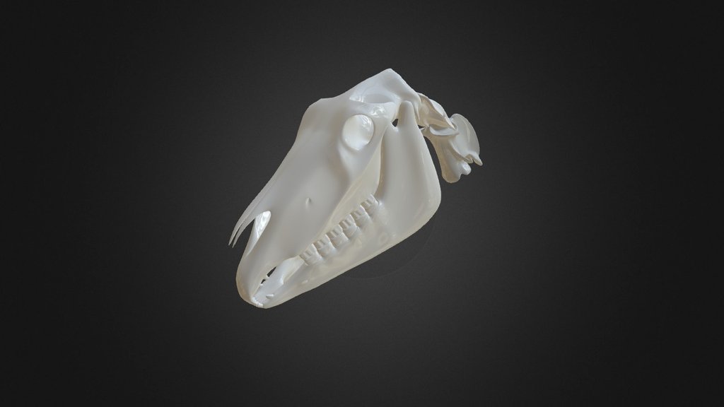 Modelo End - 3D model by fejilo [9a6a94d] - Sketchfab
