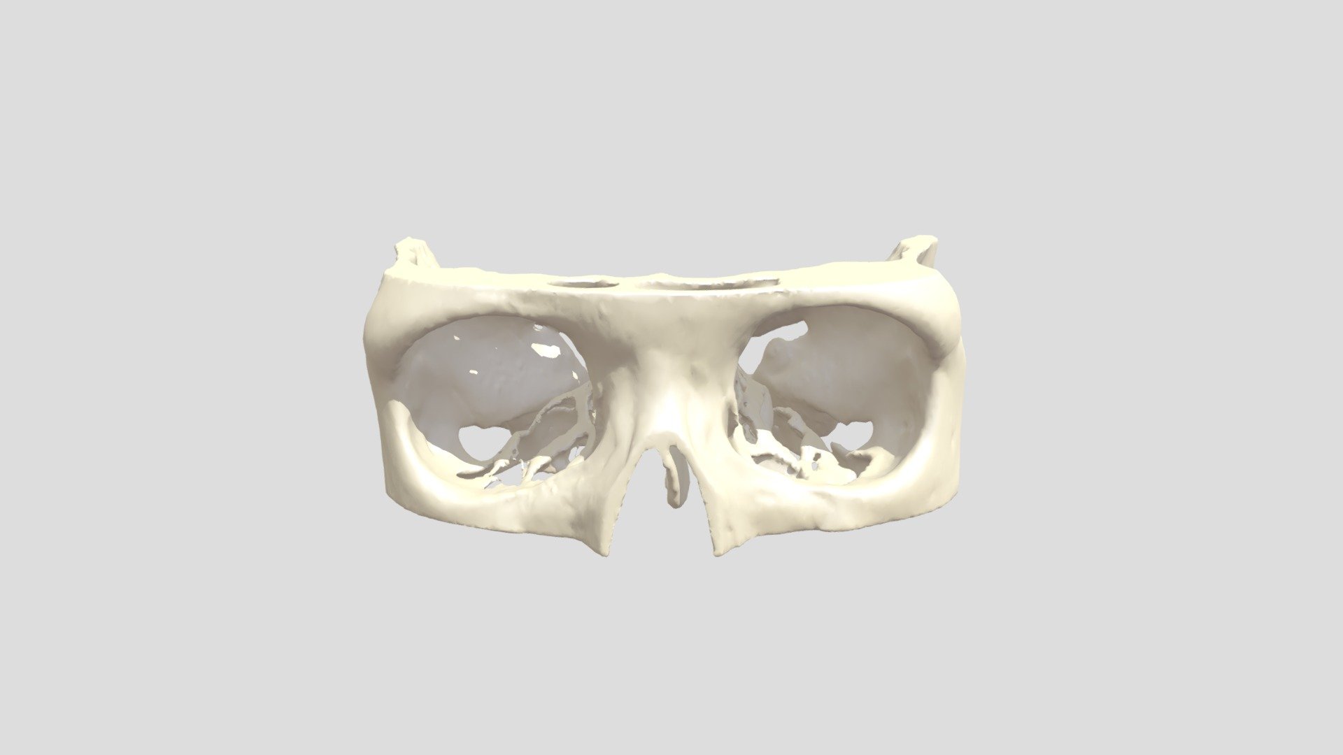 Orbital bone - Download Free 3D model by mi2rl.amc [9a72f0f] - Sketchfab