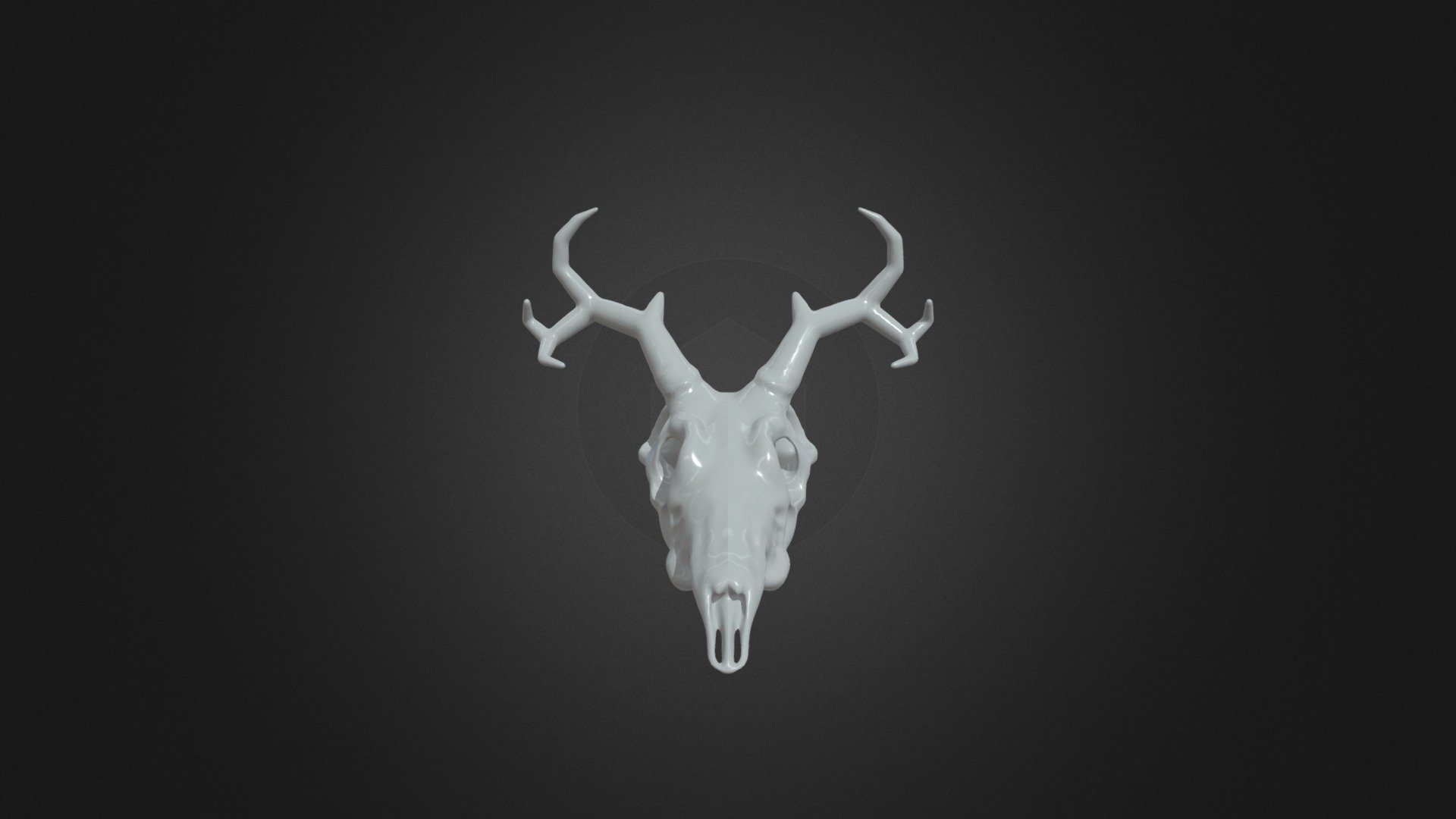 skull of a deer - Download Free 3D model by escat0r [9a74d4e] - Sketchfab