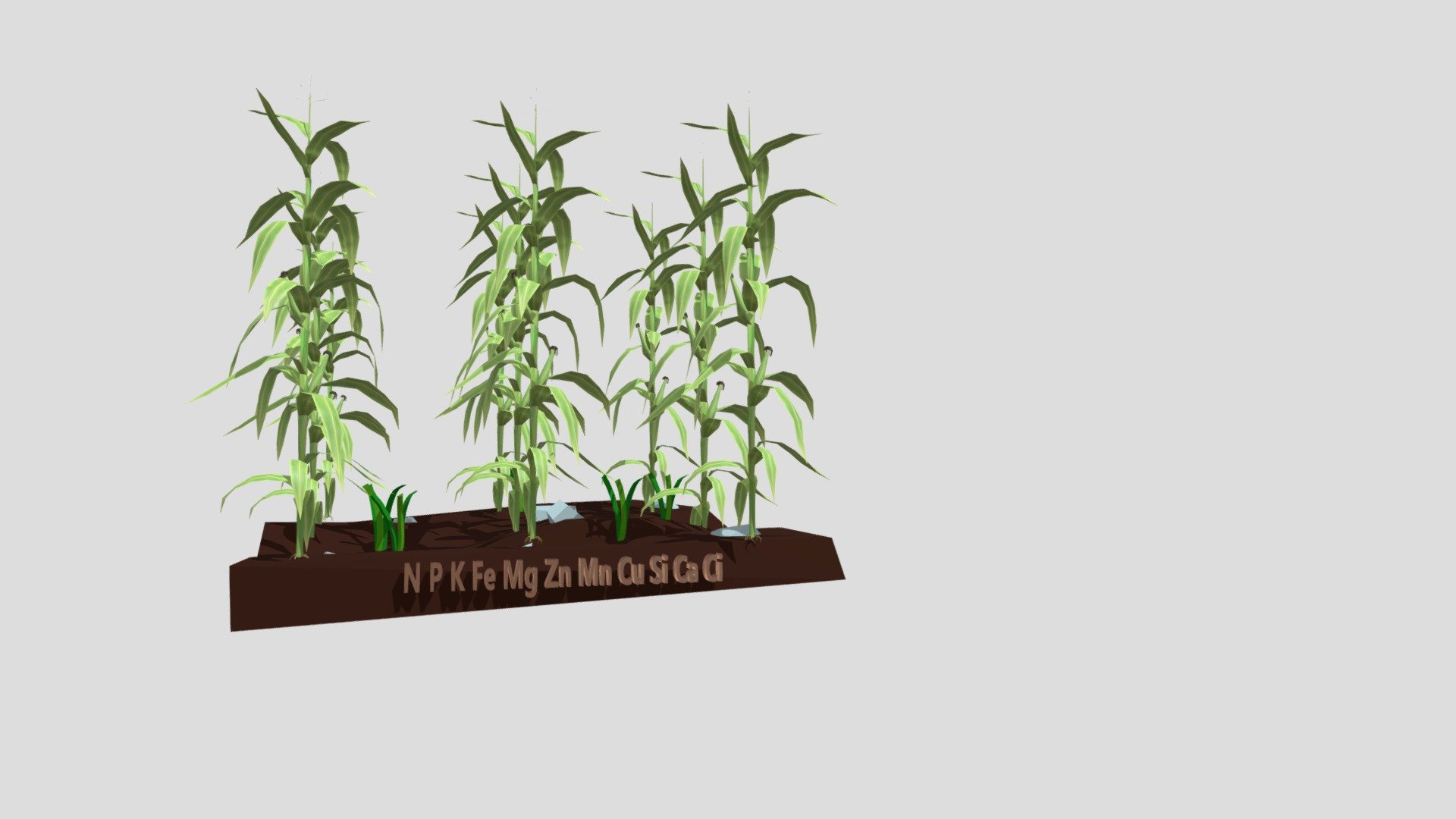 Hubungan Hara dan Tanaman - Download Free 3D model by Sitiyiyisrahmah ...