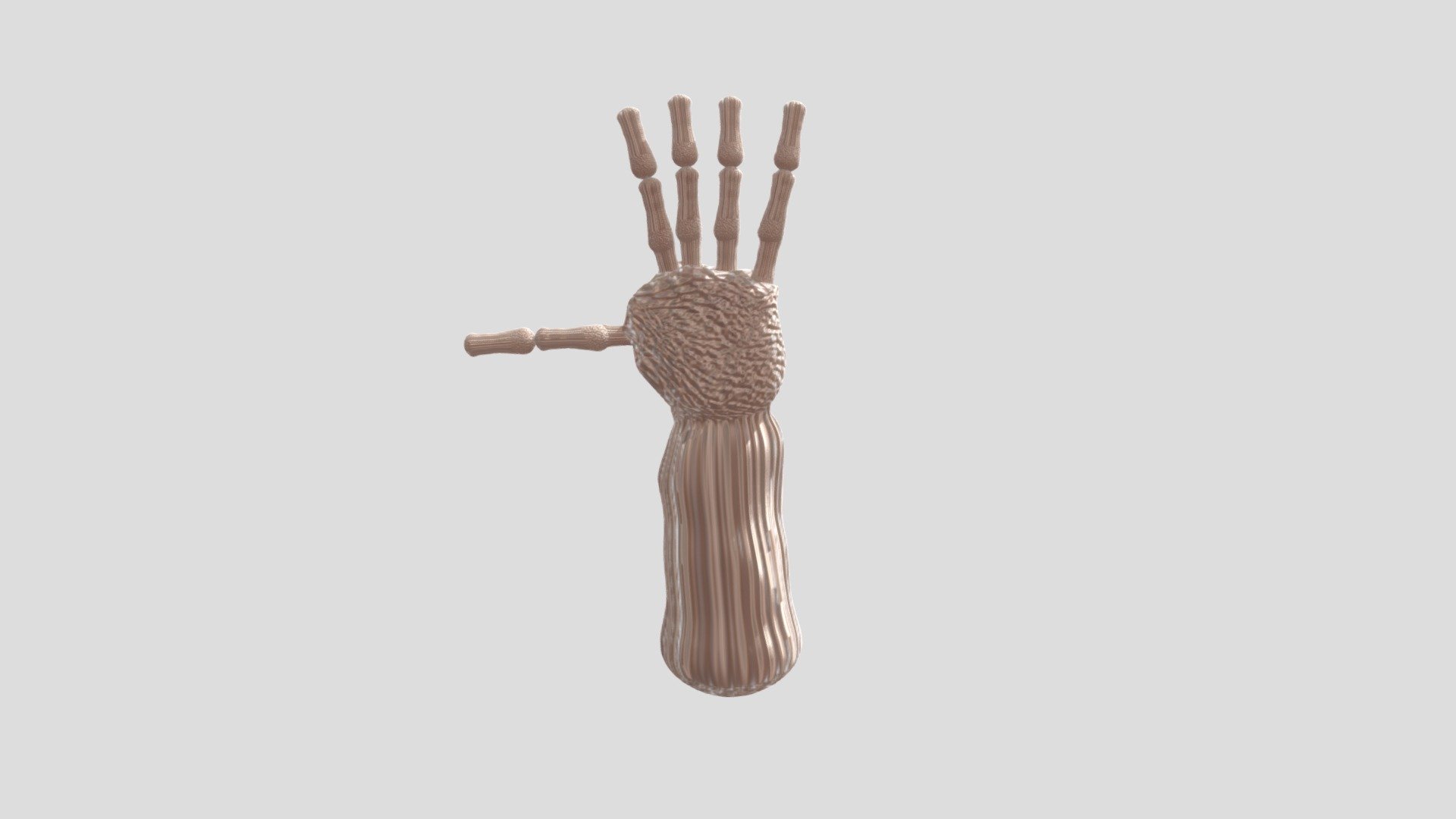 Hand (RIGGED FBX) - Download Free 3D model by xraygamer2012 [9a853eb ...