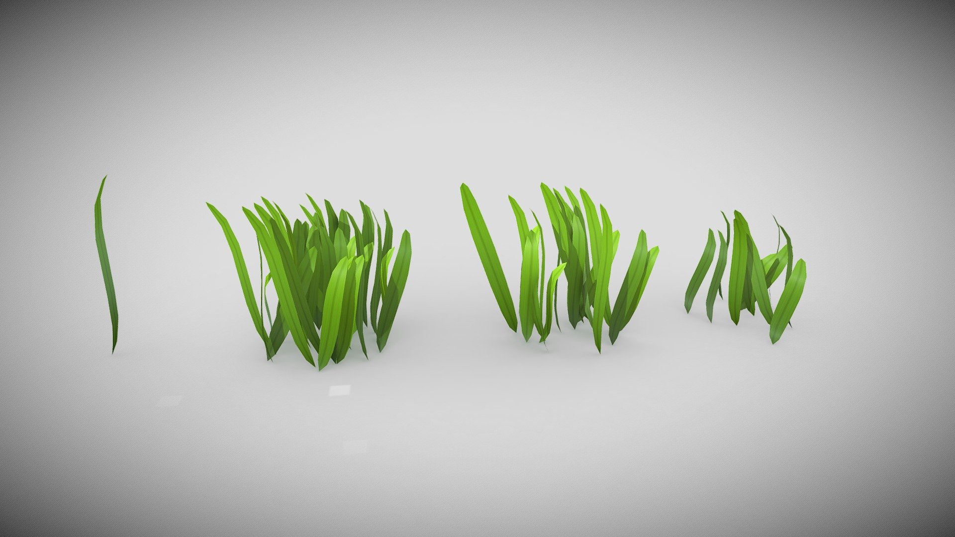 Hand Painted Seaweeds - 3D model by Martin (@marc999) [9a89368] - Sketchfab