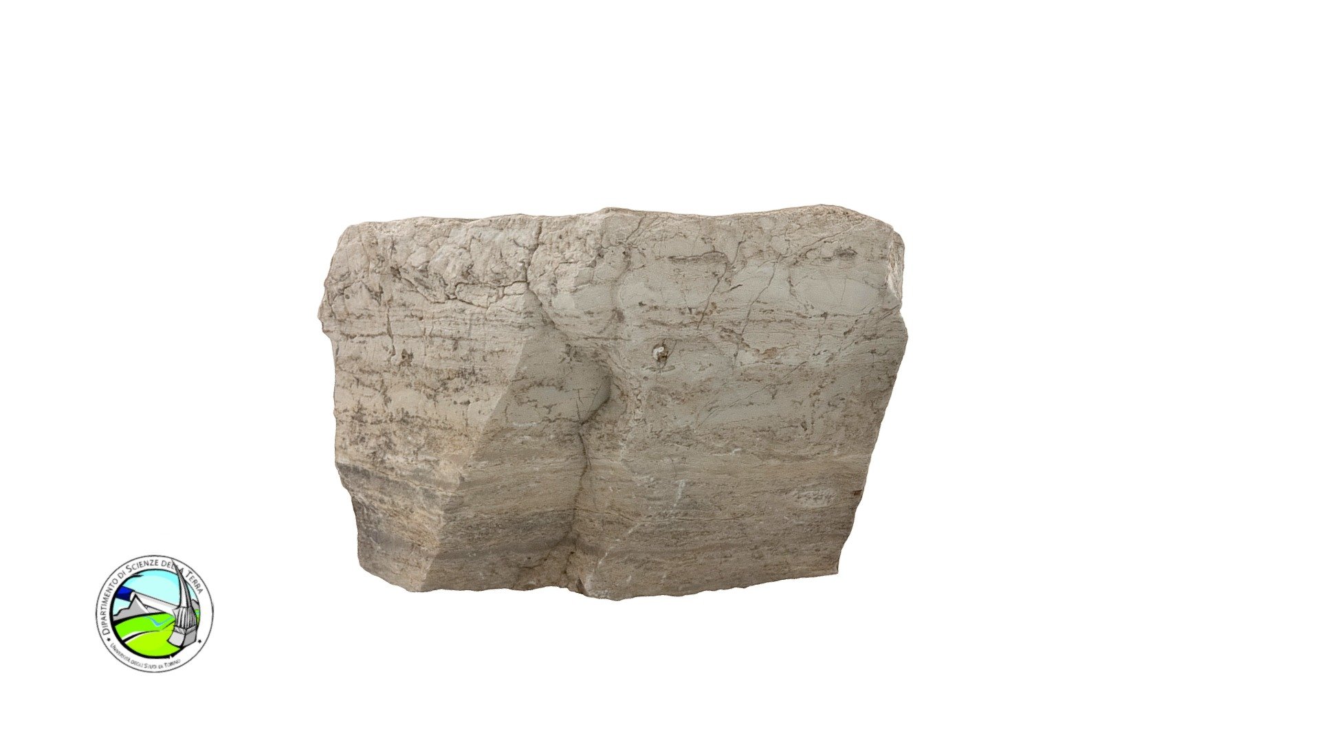 Packstone-mudstone - 3D model by Dipartimento di Scienze della Terra ...
