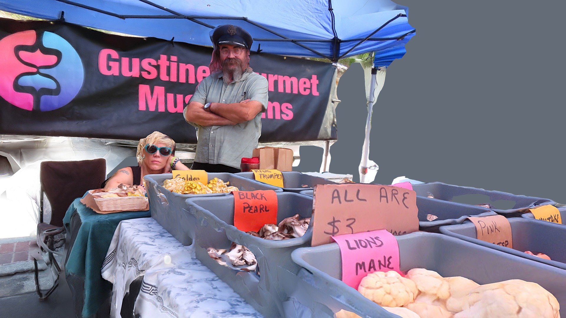 Gustine Gourmet Mushrooms - Buy Royalty Free 3D model by John Toeppen ...