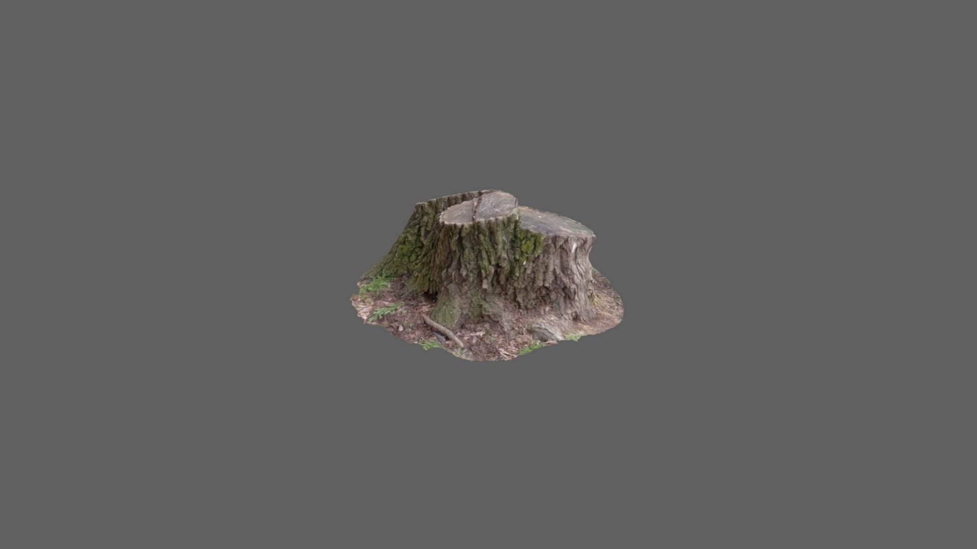 Tree stump - Download Free 3D model by sevcikfilip2 [9a9208b] - Sketchfab
