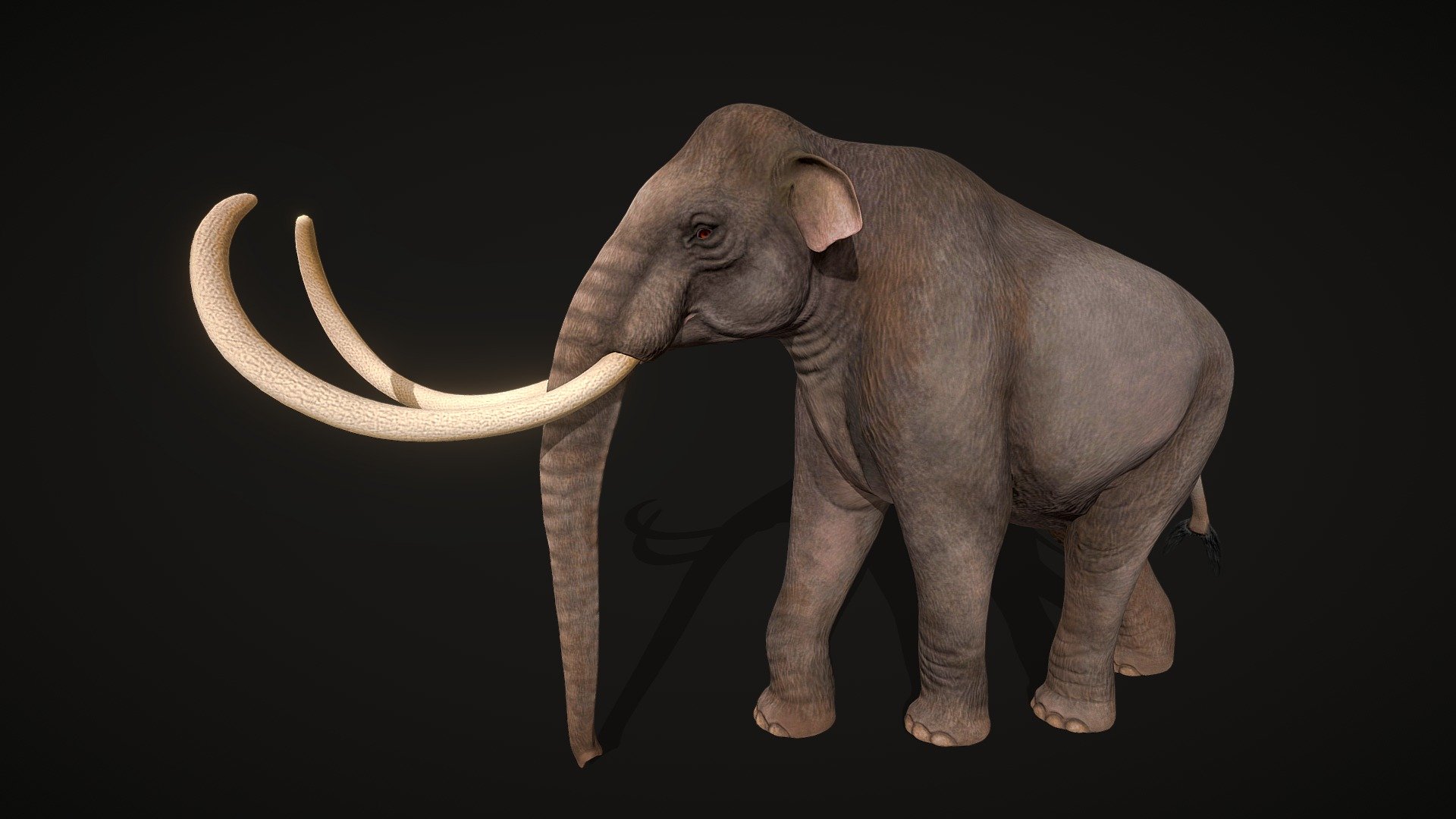 Columbian Mammoth - 3D model by DanielleTyler [9a93f08] - Sketchfab