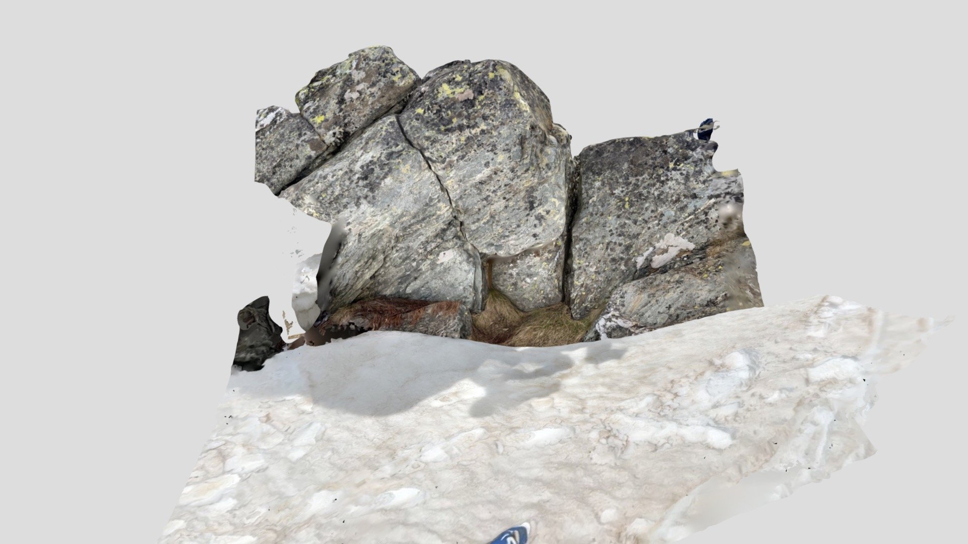 Rock snow detail - Download Free 3D model by APPF ANU (@APPF-ANU ...
