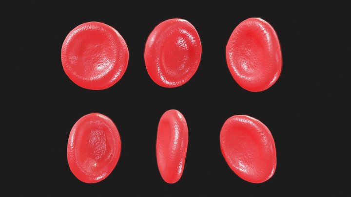 Hemoglobin 3D models - Sketchfab