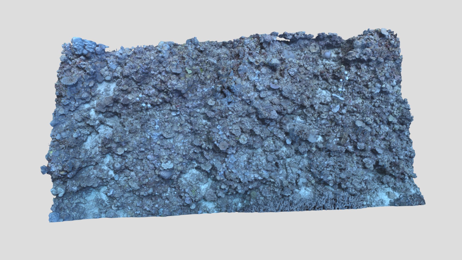 Davies_FR1D_P2_202101 - 3D model by EcoRRAP (@AIMSEcoRRAP) [9a9ce18 ...