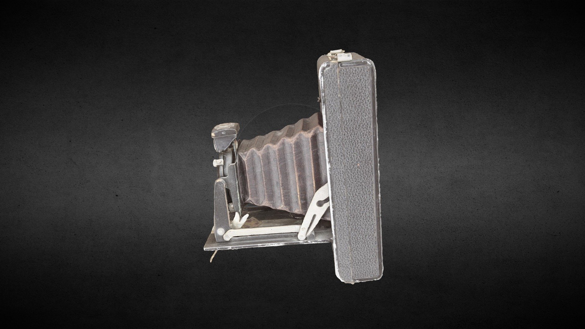 Fin - Download Free 3D model by palo.putnoki [9a9f4e3] - Sketchfab