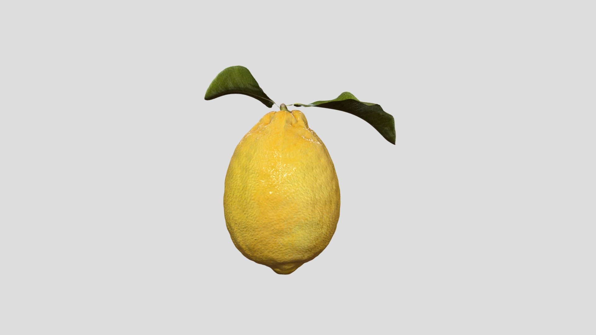 LEMON - 3D model by monsieurstf [9aa019e] - Sketchfab