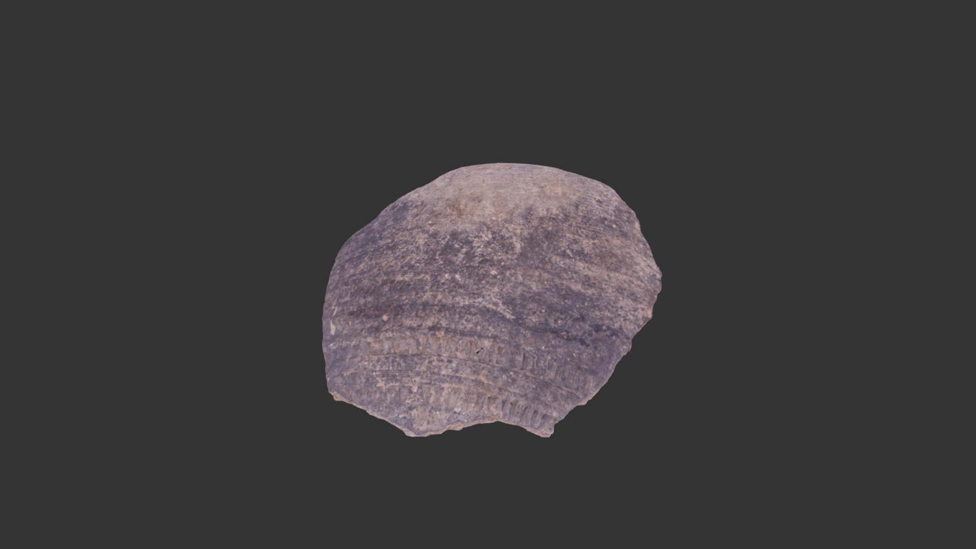 Clay sherd - 3D model by Brano_M [9aa4b7a] - Sketchfab