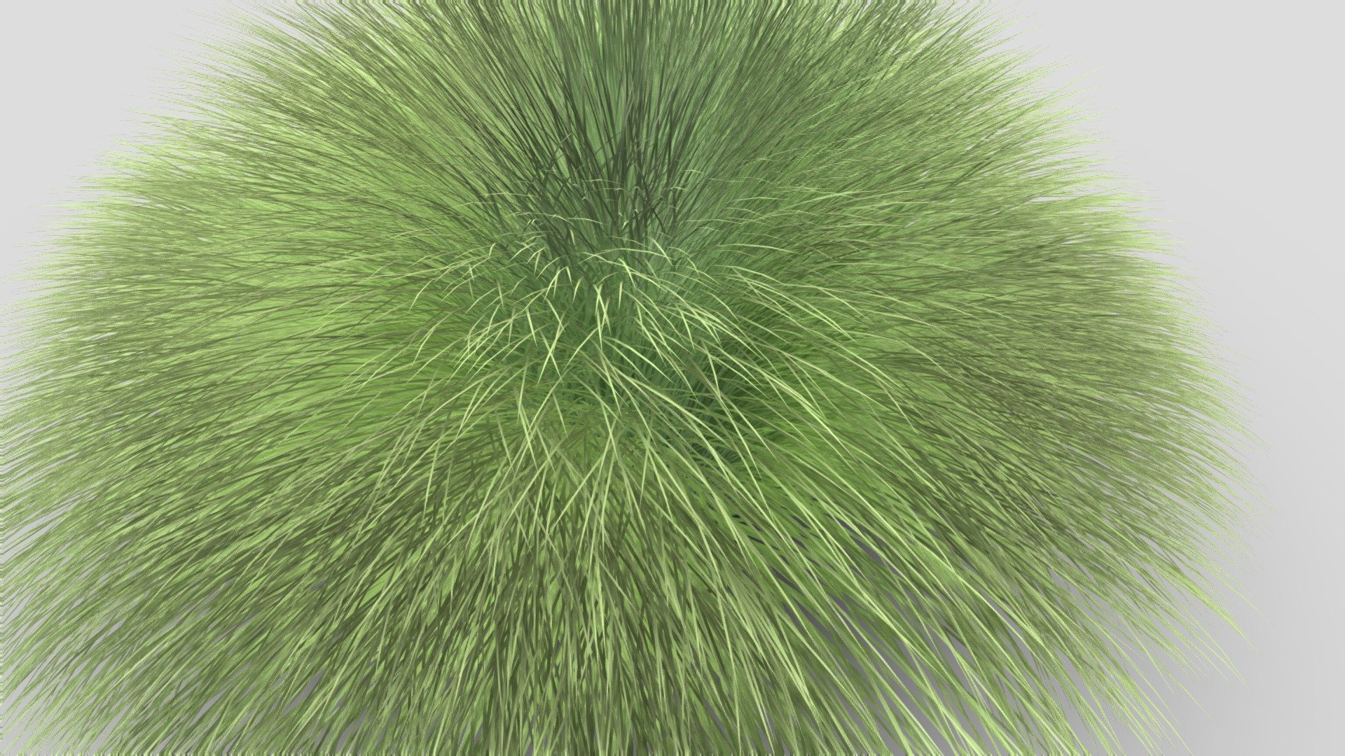 deergrass - 3D model by Kailash H Kanojia (@KailashHKanojia) [9aa4c67 ...