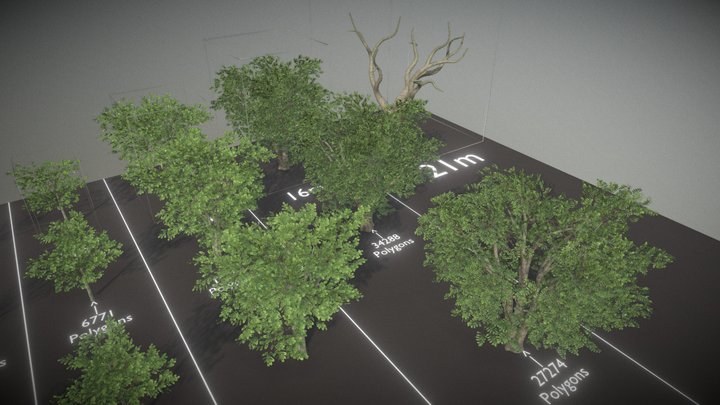 Tree-animation 3D models - Sketchfab