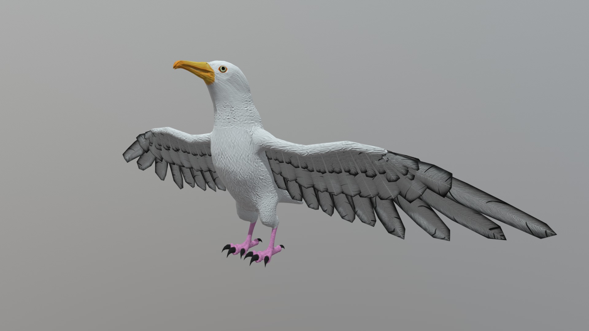 Seagull - Buy Royalty Free 3D model by 3dlowpoly [9aacd14] - Sketchfab ...