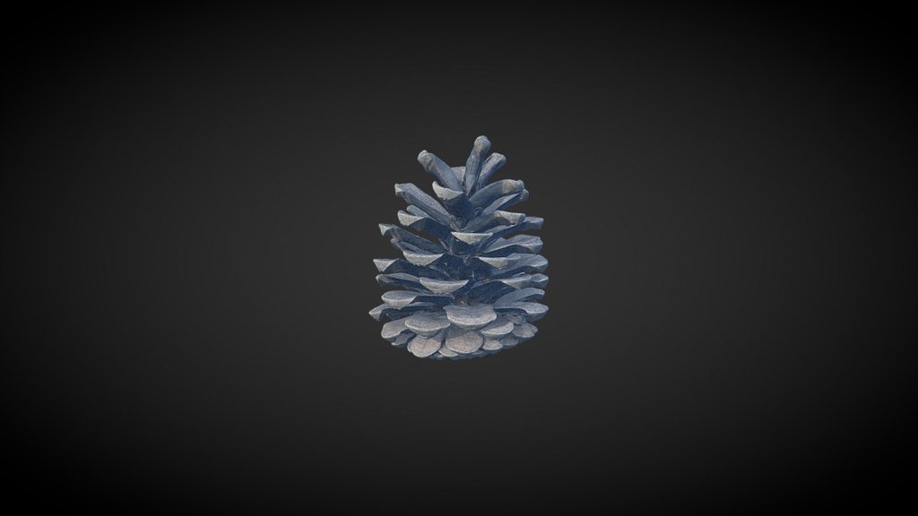 Pine, cone, wireframe (demo) - 3D model by Tomy Erdin (@Tomy_Erdin ...