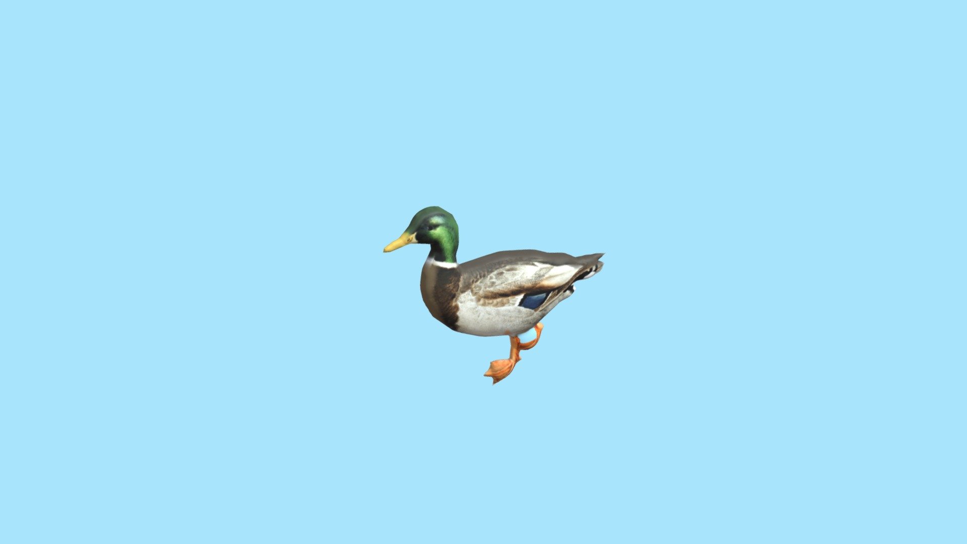 Duck - Download Free 3D model by chikachel [9abb059] - Sketchfab