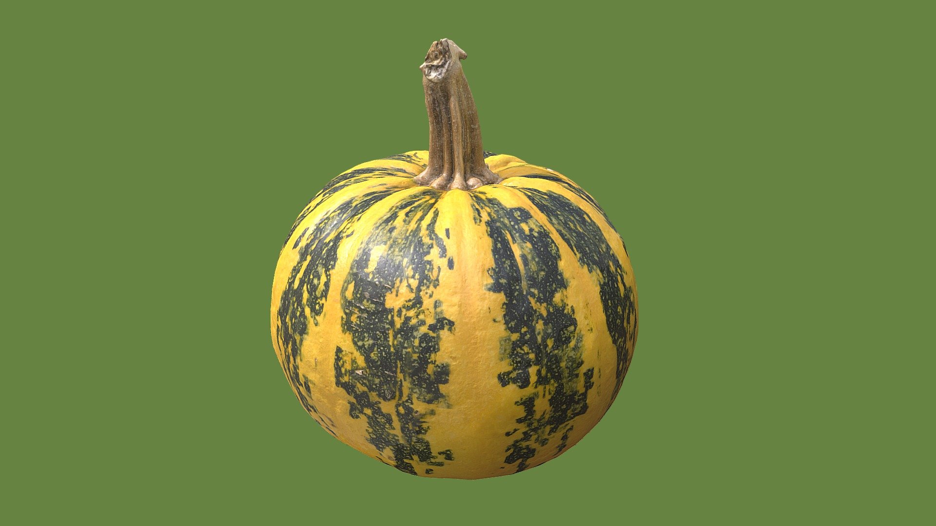 Pumpkin yellow. 3D Scan - 3D model by igor garin (@igo.garin) [9abcfc3 ...