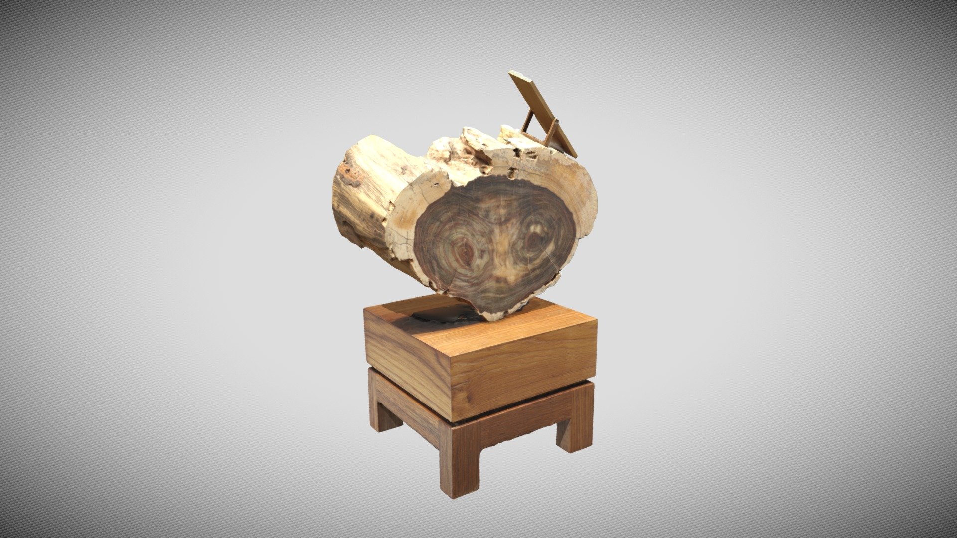 Where All The Trees Have Gone 02 - 3D model by RCAC84Virtual [9ac1165 ...